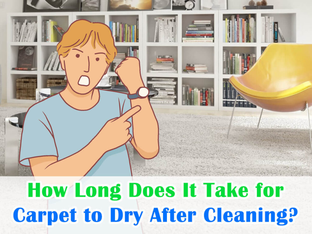 How Long Does It Take for Carpet to Dry After Cleaning? – House+Garden