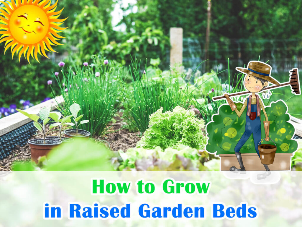 How to Grow in Raised Garden Beds: A Green Thumb Guide – House+Garden