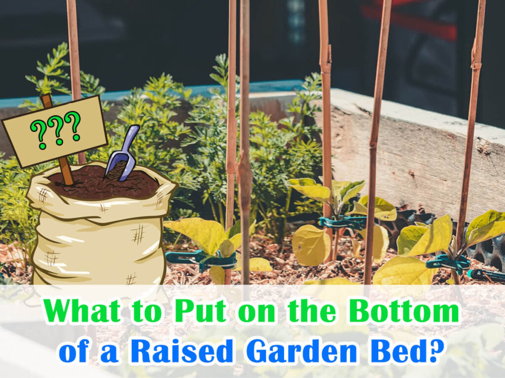 What to Put on the Bottom of a Raised Garden Bed? – House+Garden